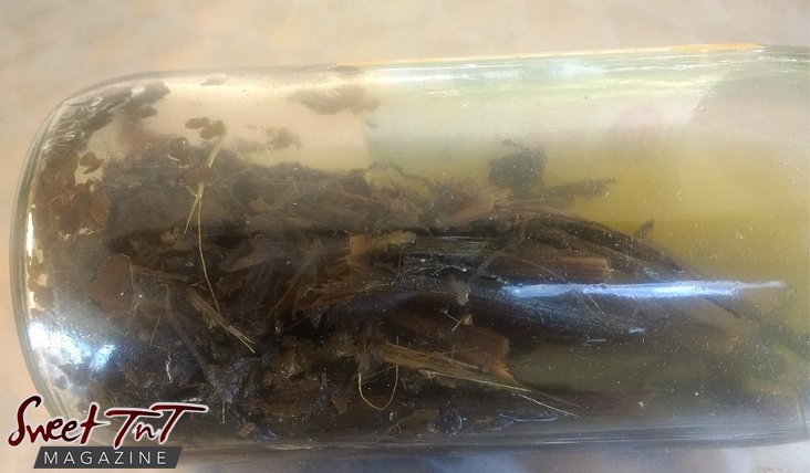 Sweet TnT Magazine — Zebapique a bitter leaf and ultimate remedy